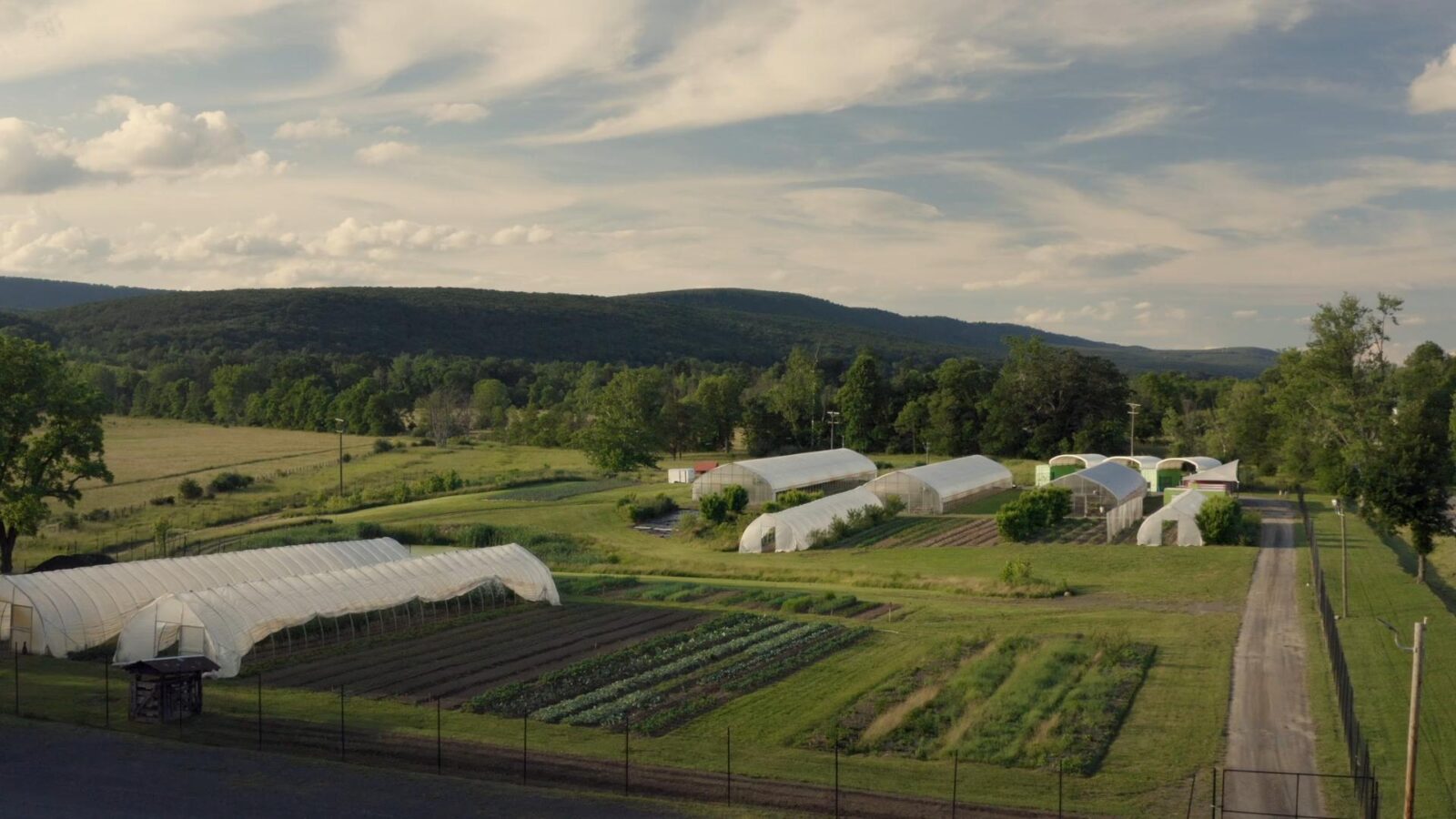 The Little West Virginia Farm with Big Dreams – Garden & Gun