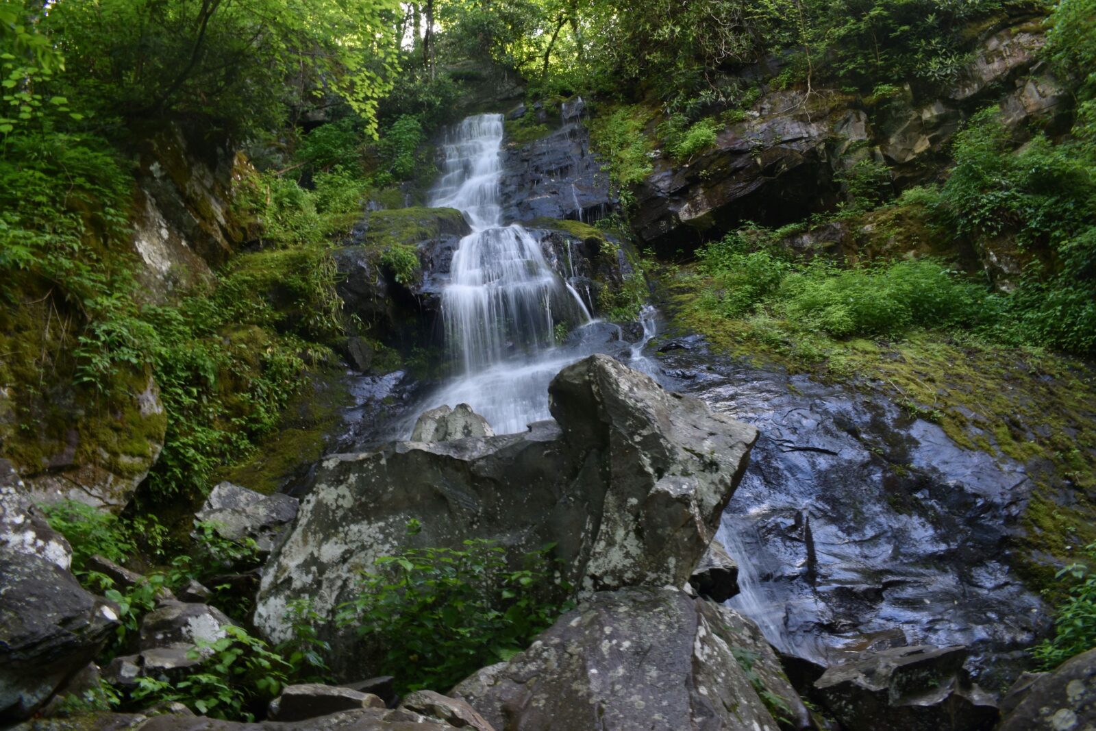 Seven Under-the-Radar Day Hikes in Great Smoky Mountains National Park ...