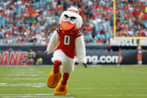 College Football Decoded: Sebastian the Ibis – Garden & Gun