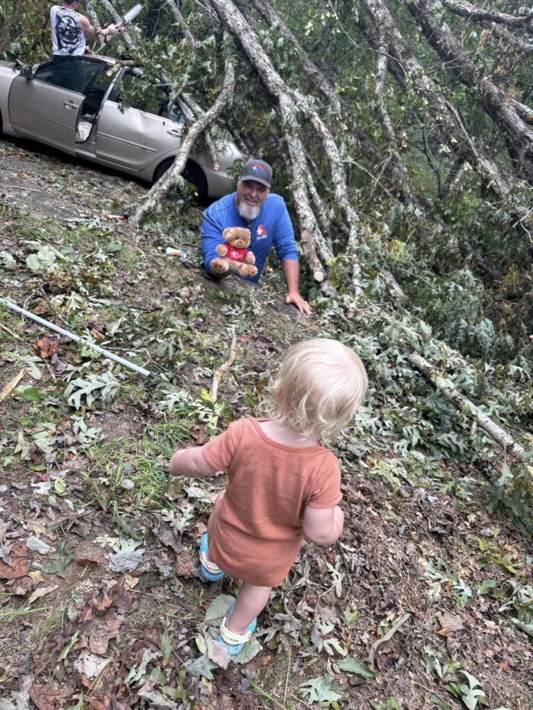 Mountain Mules Are Bringing Hope to Appalachia – Garden & Gun