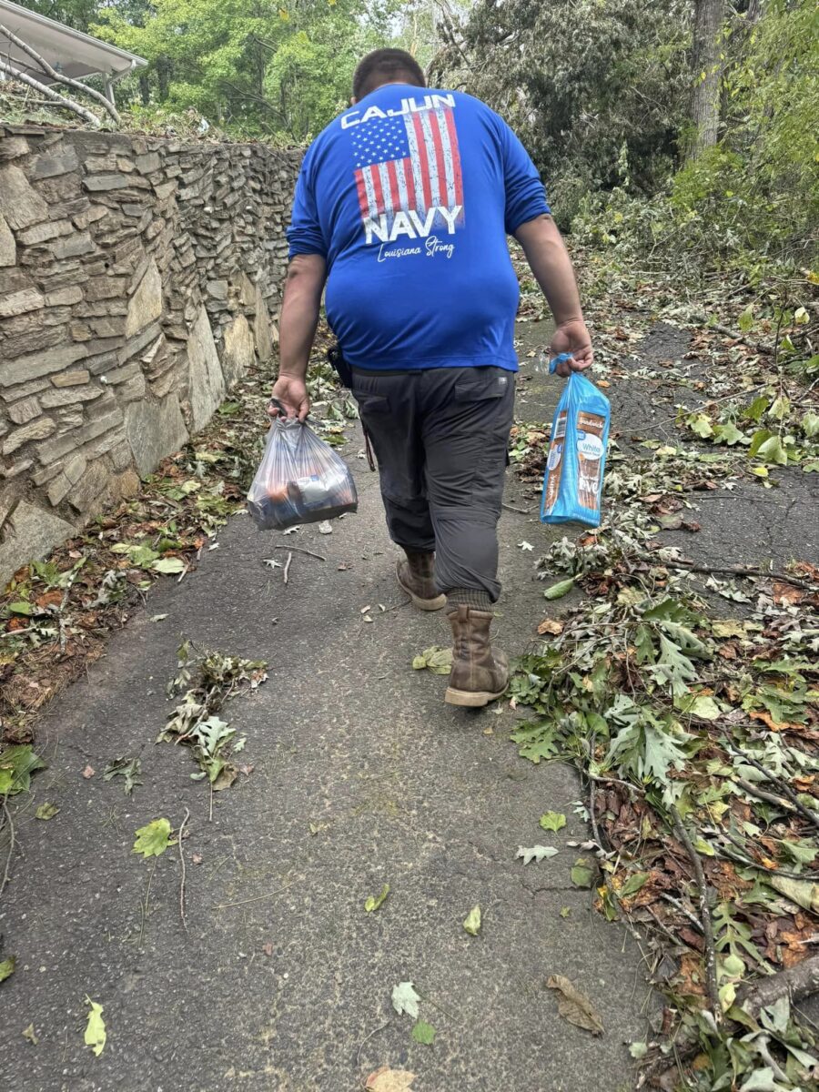 Mountain Mules Are Bringing Hope to Appalachia – Garden & Gun