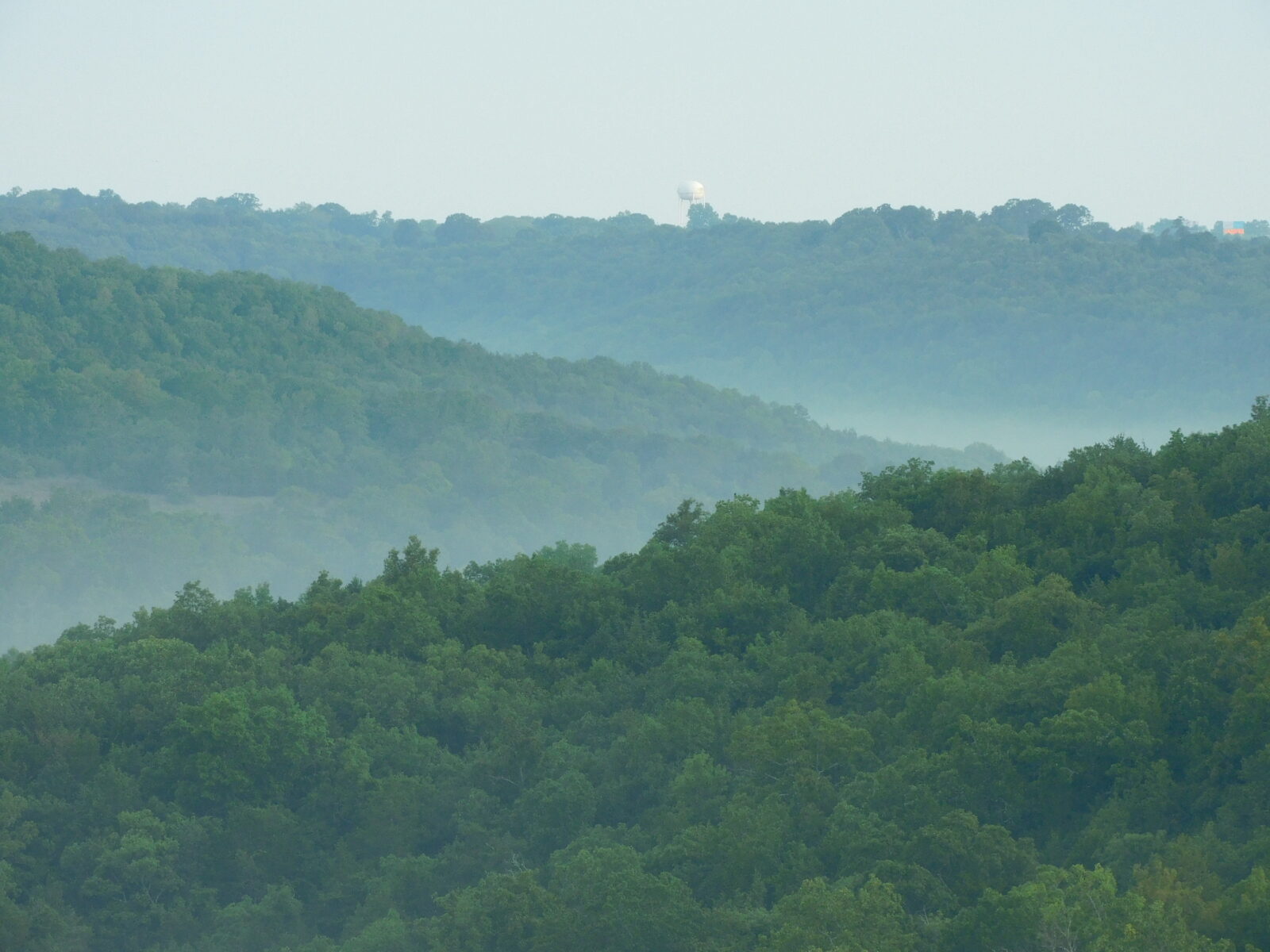 Meet the Ozark Howler, the South’s Most Cryptic Cryptid – Garden & Gun