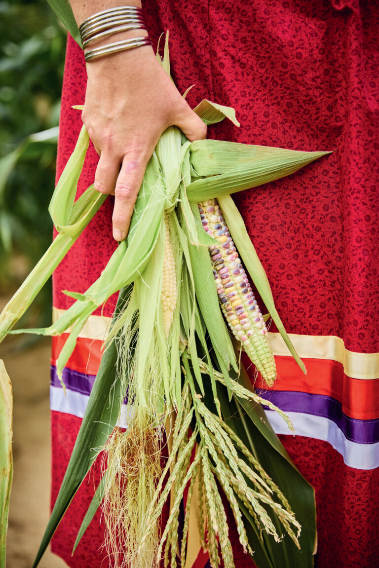 A Homecoming for Corn – Garden & Gun