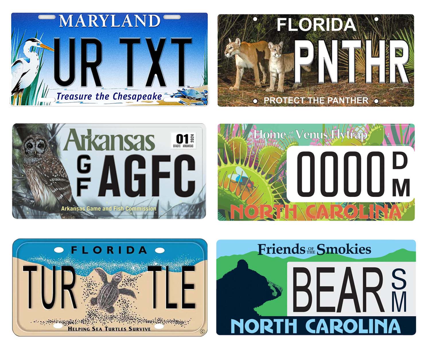 License For Wild Animals