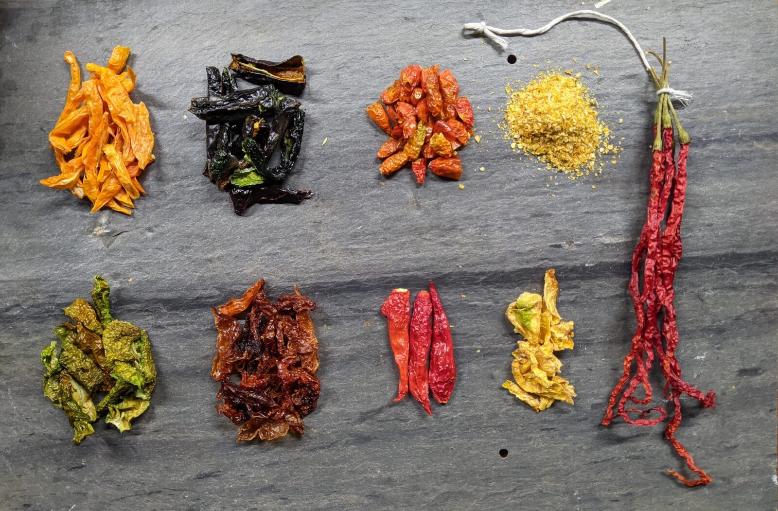 In the Hurricane-Ravaged South, Old-School Seed Saving Becomes More ...