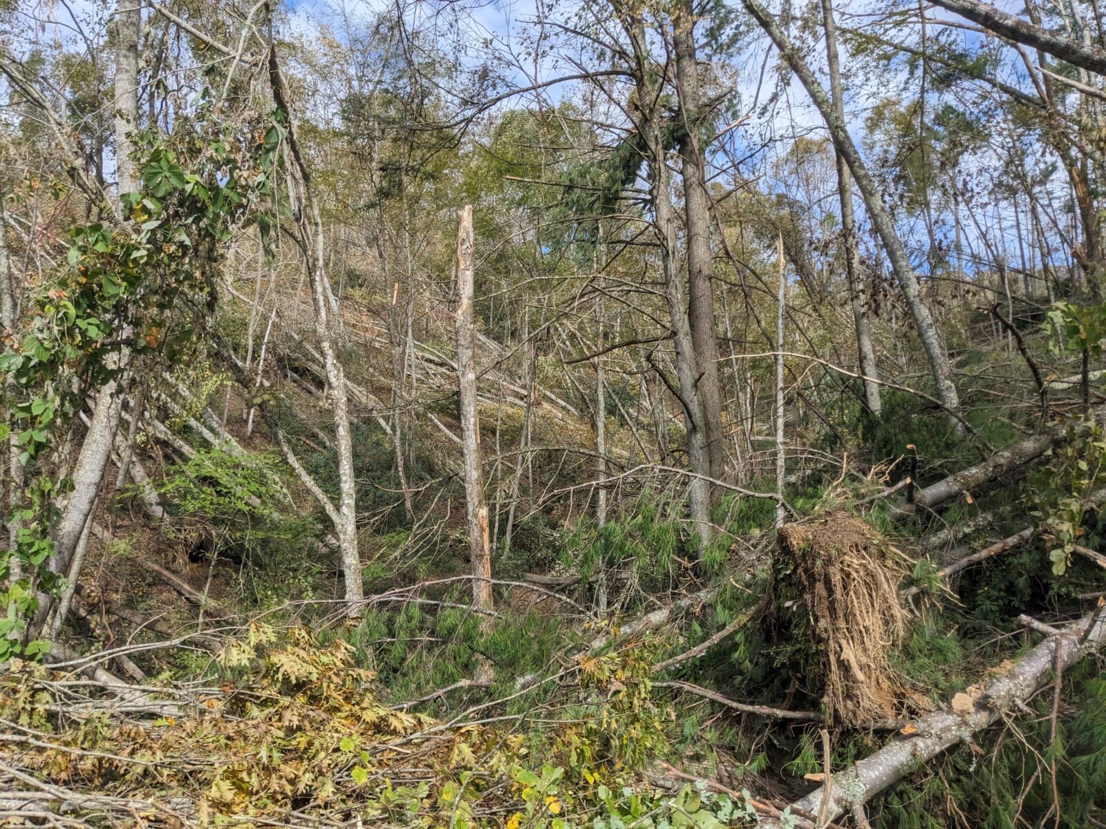 The State of the Appalachian Trail in the Wake of Helene – Garden & Gun