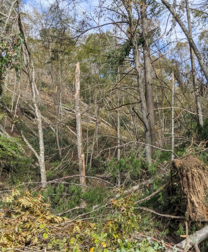 Helene’s Aftermath: A Dispatch from Boone, North Carolina – Garden & Gun