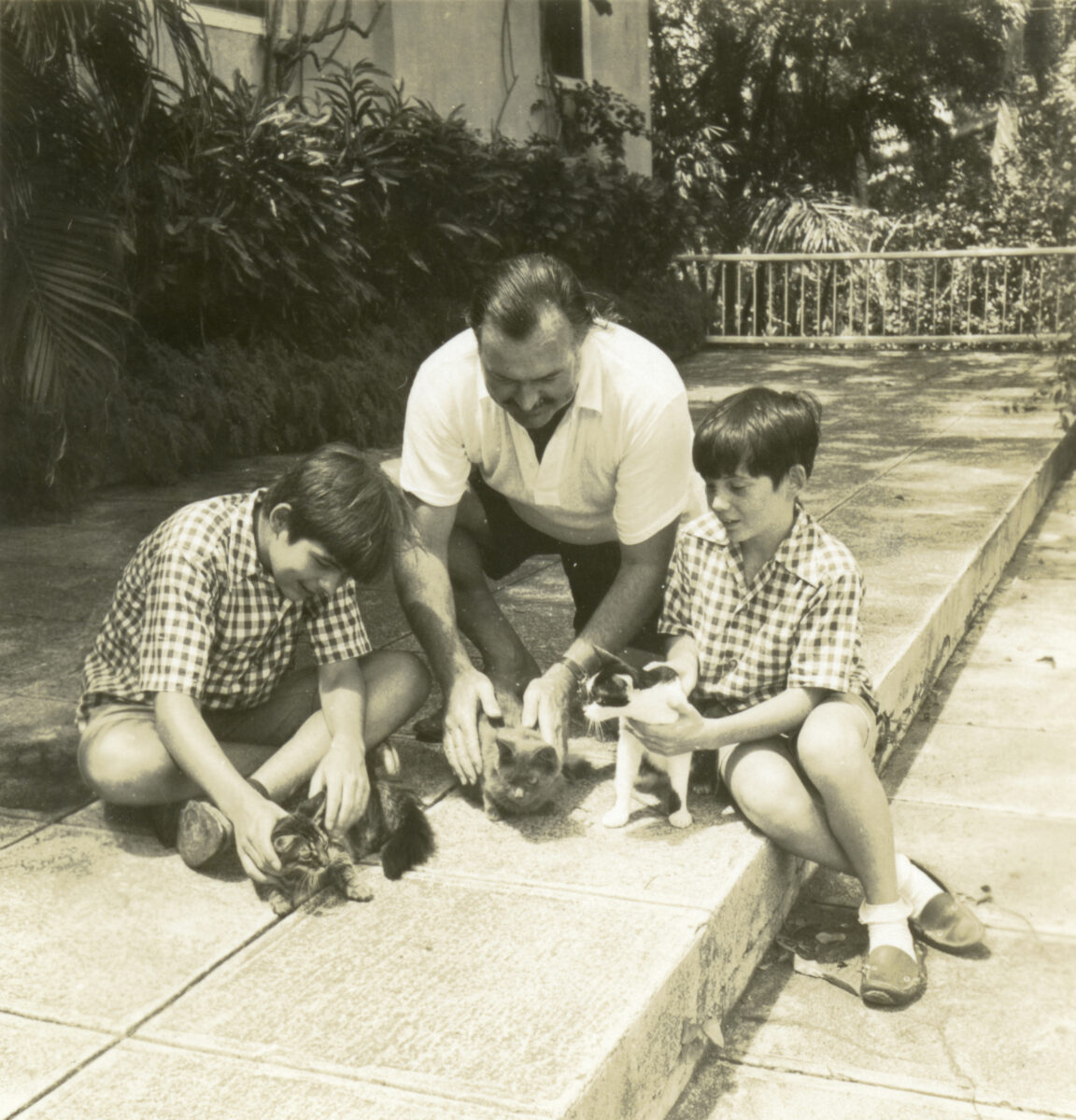 Hemingway’s Six-Toed Cats Are Thriving and Plentiful in Key West ...