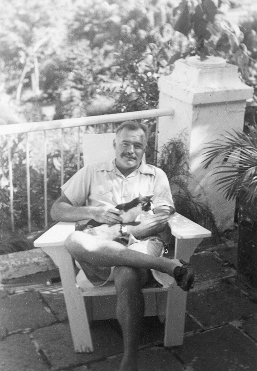 Hemingway’s Six-Toed Cats Are Thriving and Plentiful in Key West ...