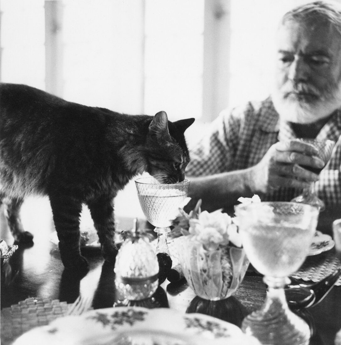 Hemingway’s Six-Toed Cats Are Thriving and Plentiful in Key West ...