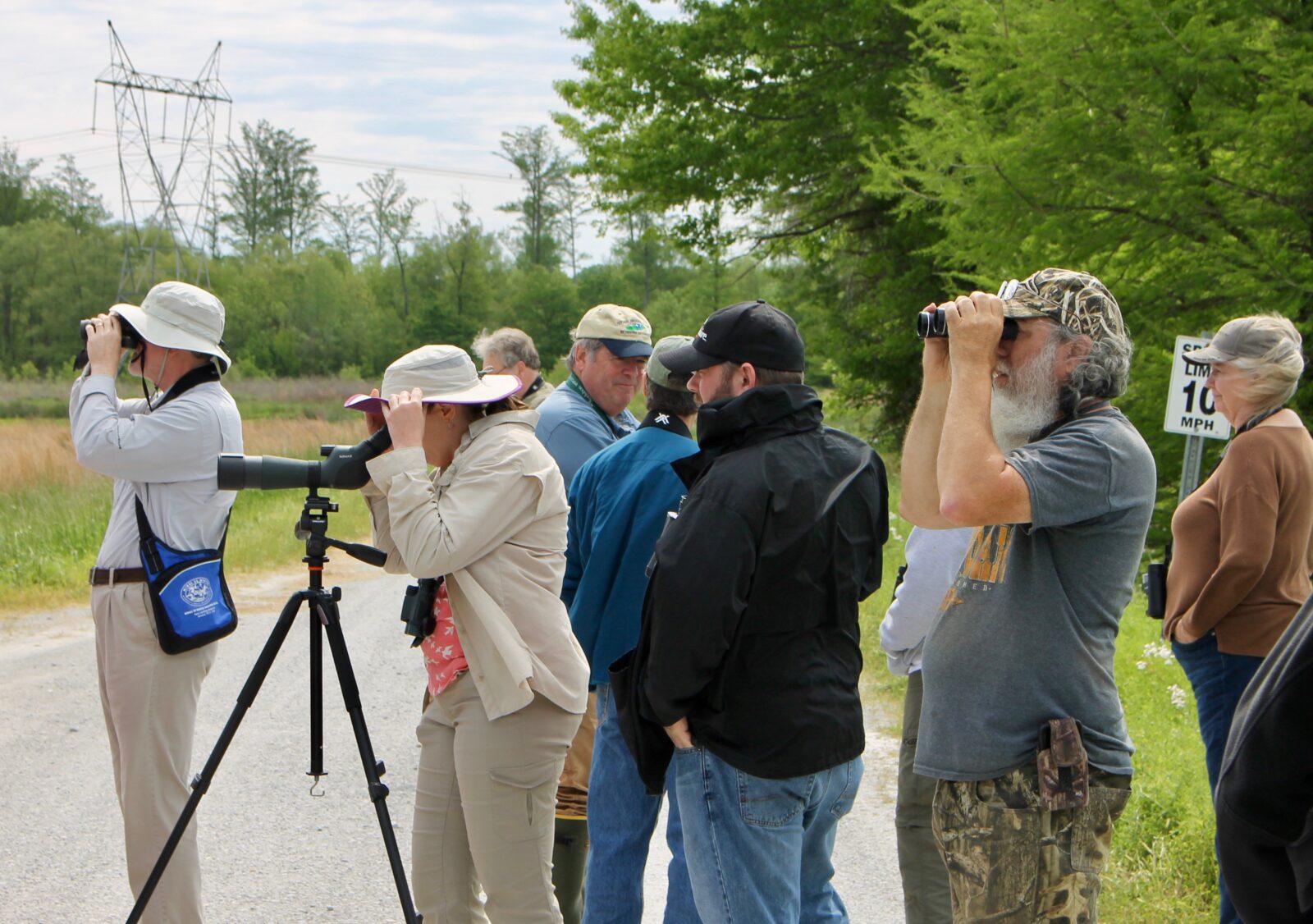 For Bird Lovers: Must-See Festivals, Trails, and Wildlands Across the ...