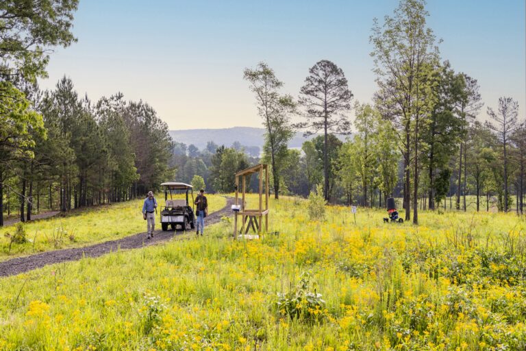 Sharpen Your Reflexes at Barnsley Resort – Garden & Gun
