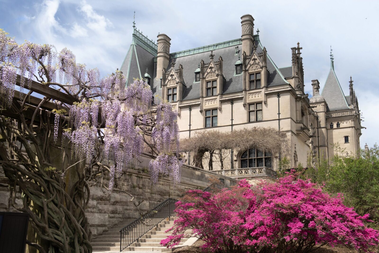 Explore Ancient Egypt and Tall Trees at Biltmore – Garden & Gun