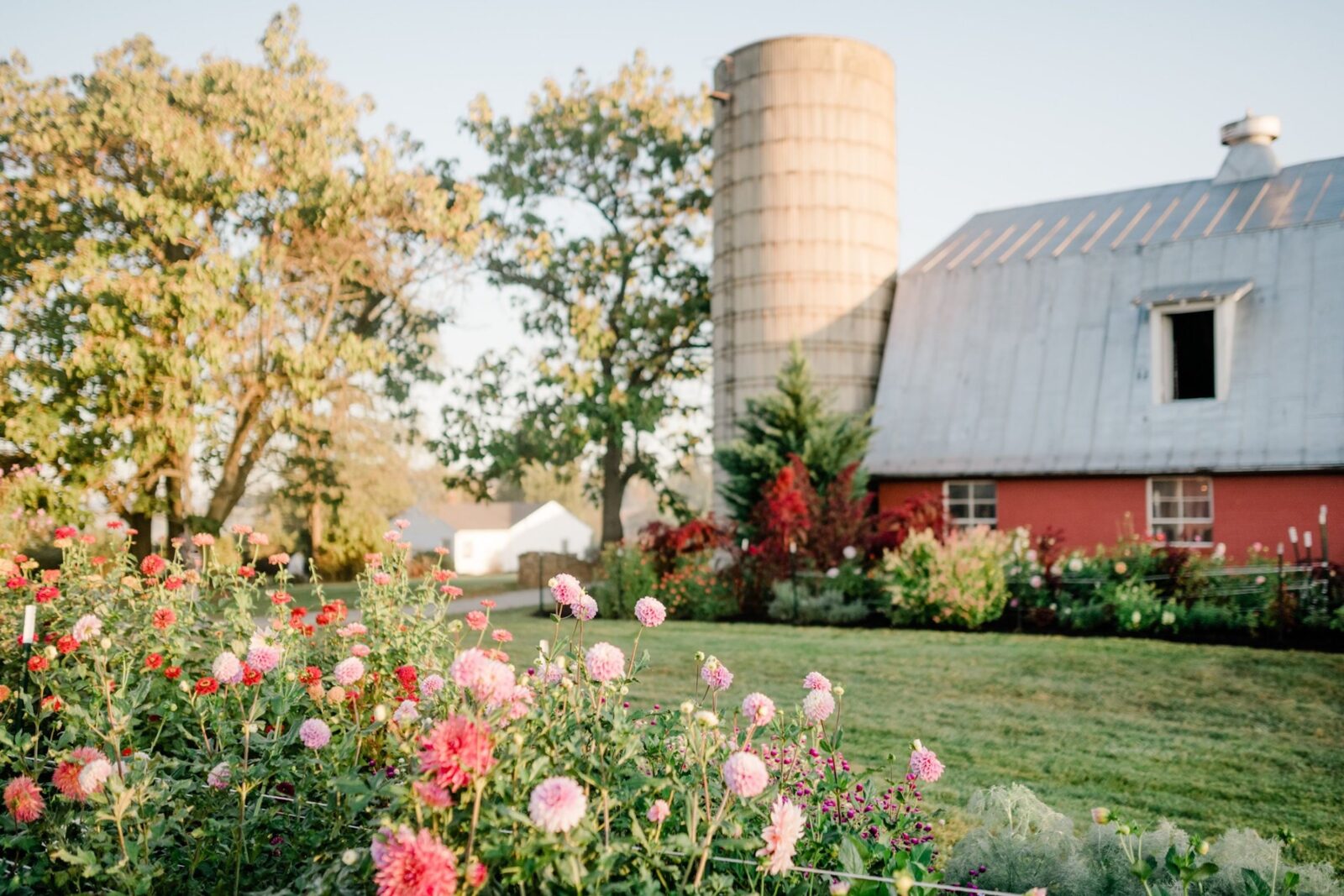 Seven Standout U-Pick Flower Farms Across the South – Garden & Gun