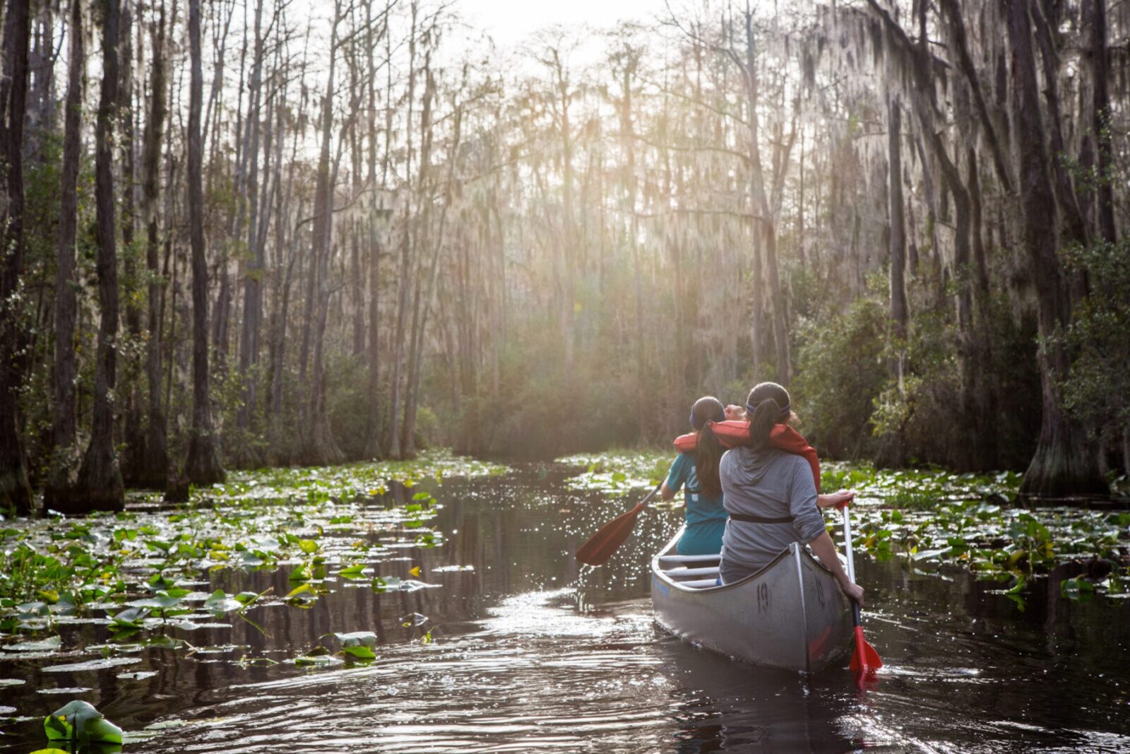Pitch in to Save the Okefenokee Swamp – Garden & Gun