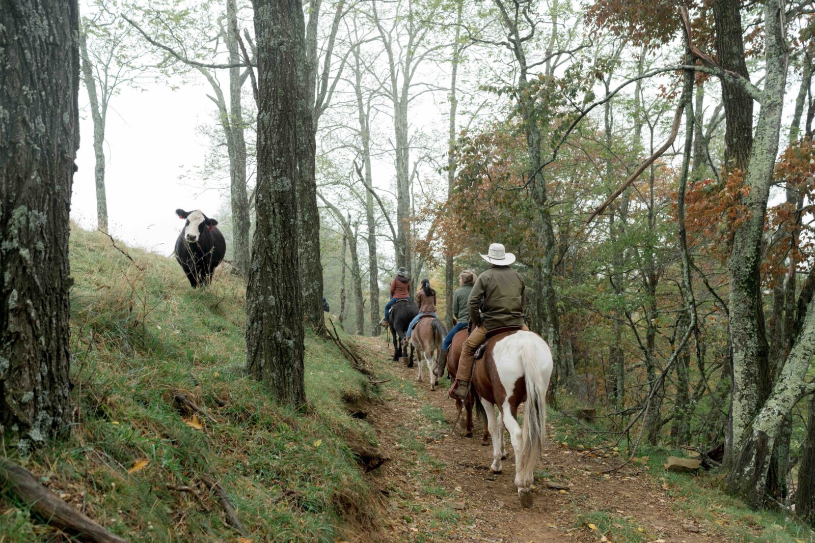 These Southern Dude Ranches Combine Luxury and the Great Outdoors ...