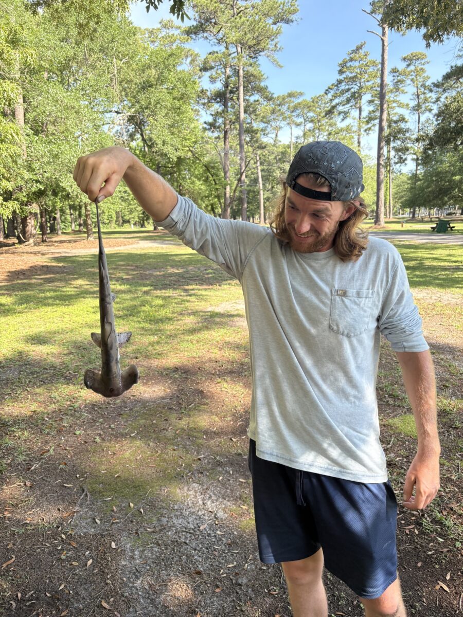 He Was Playing Disc Golf—Then a Tiny Hammerhead Shark Fell from the Sky ...
