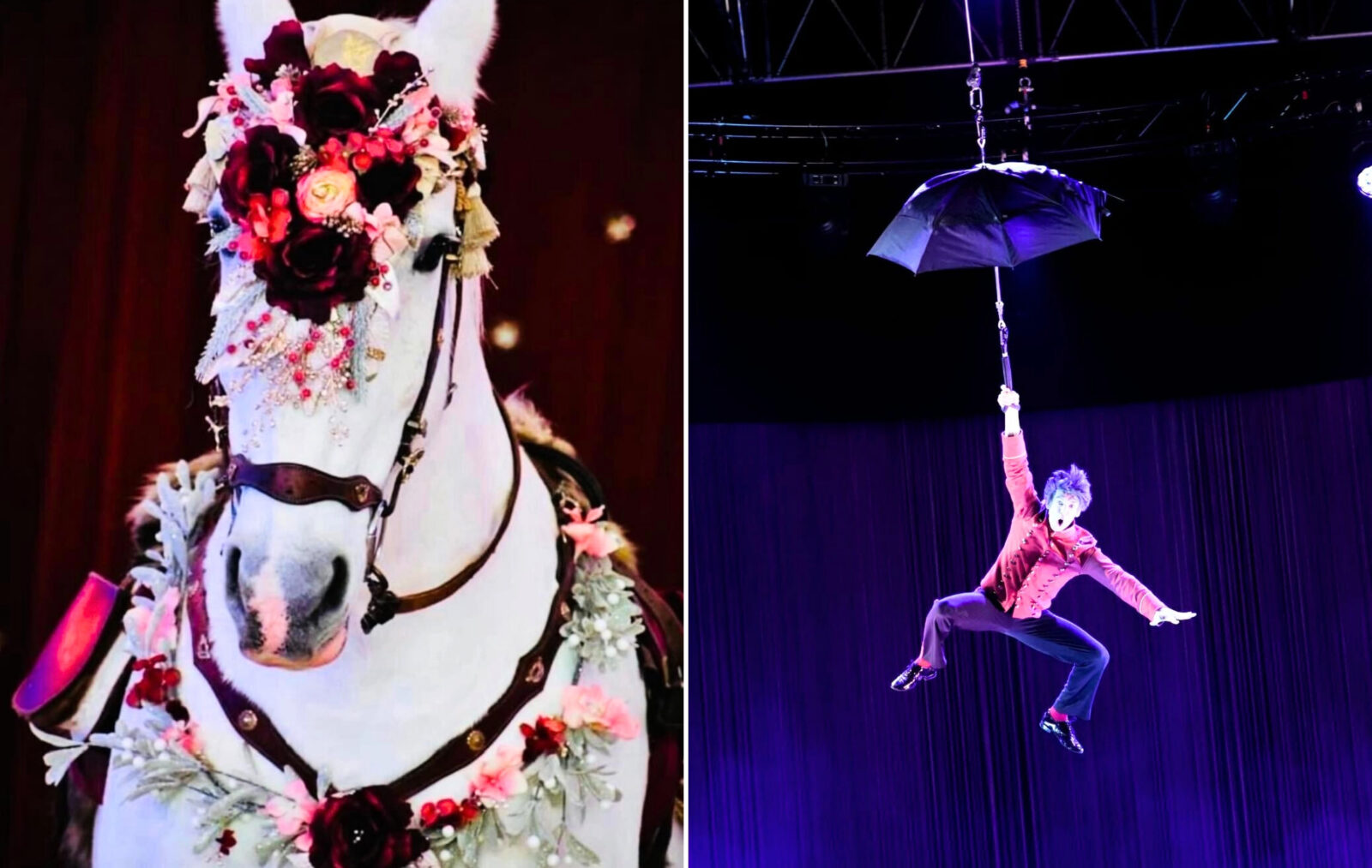 This Wild Arkansas Circus Has Deep Roots in Europe – Garden & Gun