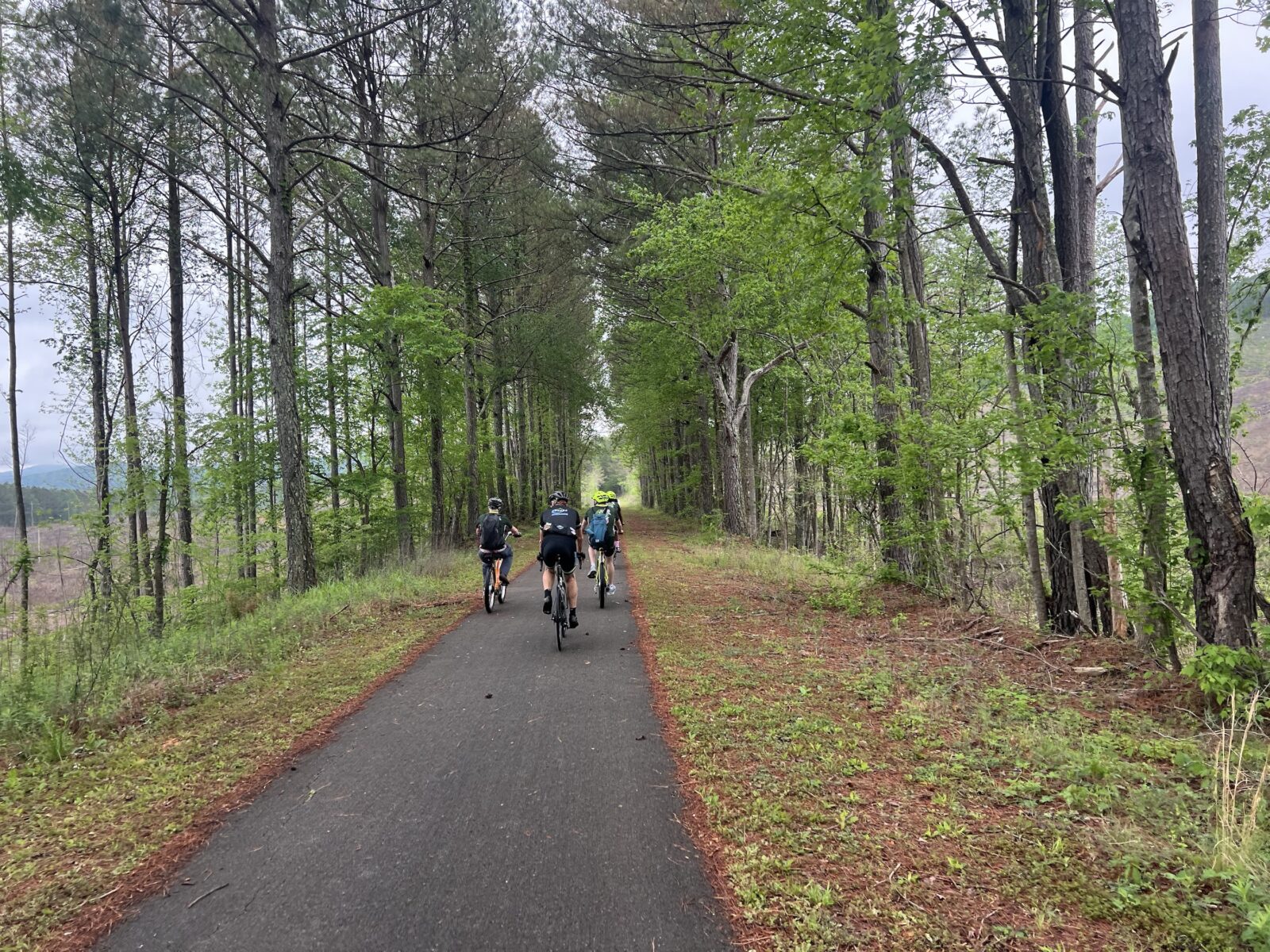 A Fall Pedal to Remember: Charming Georgia-Bama Rail Trail Towns ...
