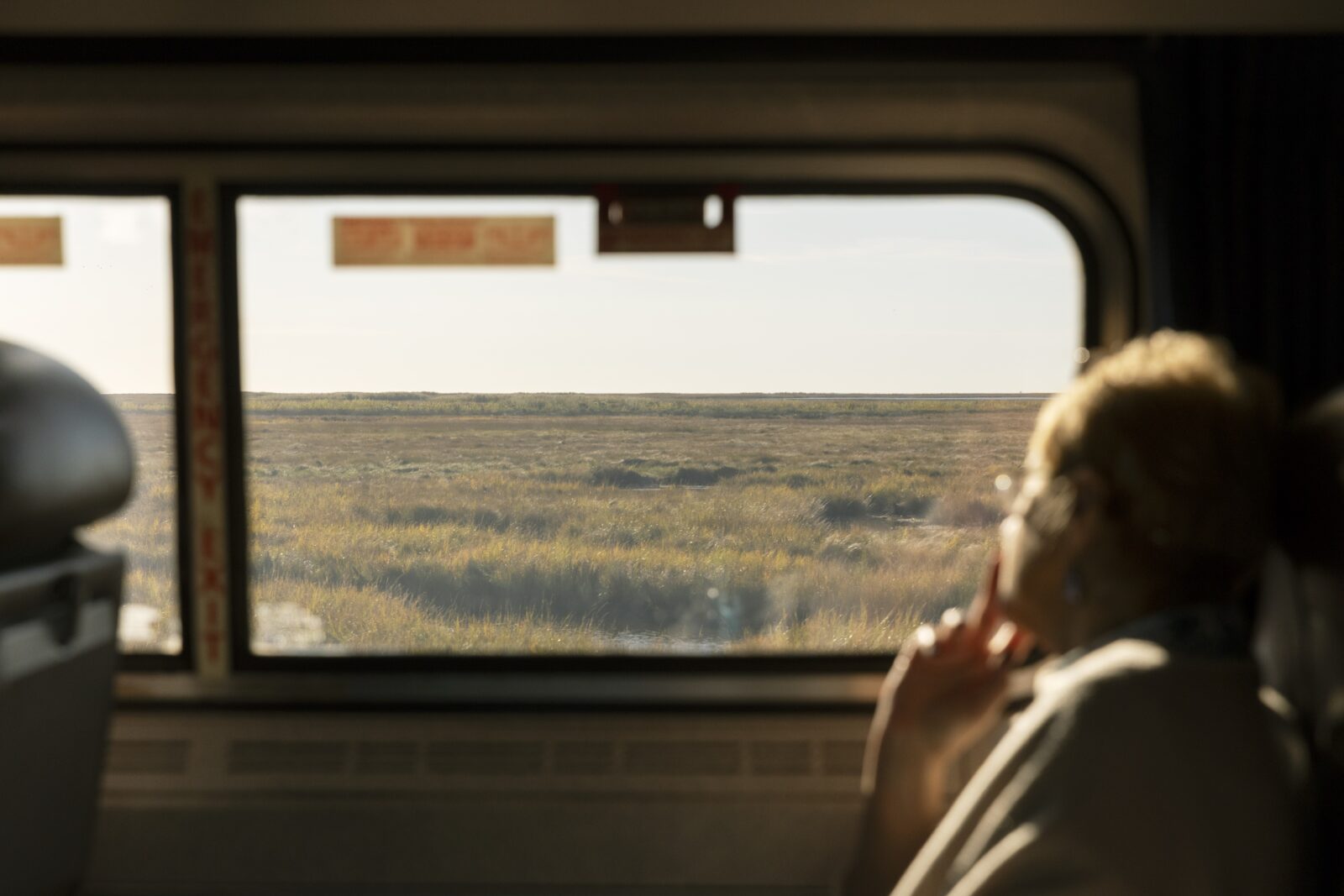 See the South from a Train Window – Garden & Gun
