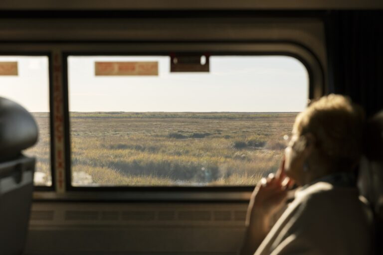 See the South from a Train Window – Garden & Gun